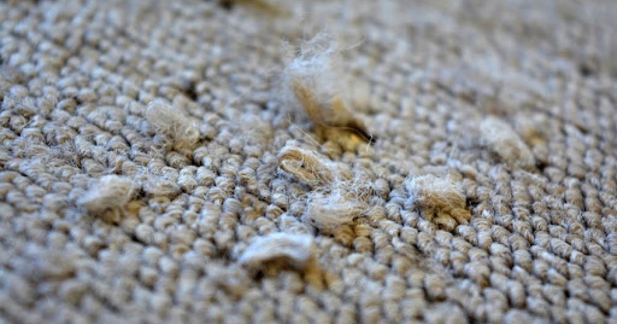 Why Rugs Shed and How to Prevent It